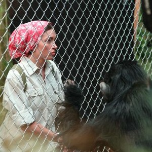 Lucy the Human Chimp - Rotten Tomatoes