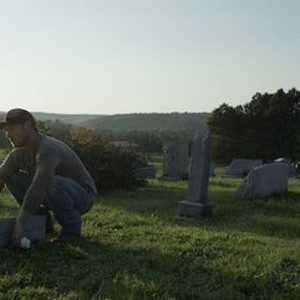 Back Fork - Rotten Tomatoes