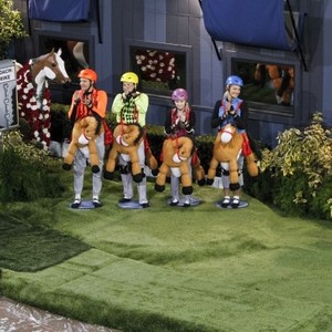 Janelle Pierzina - Rotten Tomatoes