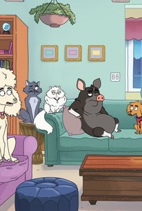 HouseBroken: Season 1, Episode 2 | Rotten Tomatoes