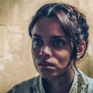 Wildcat - Rotten Tomatoes