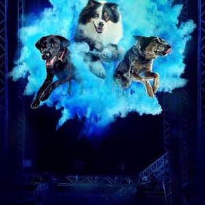 Top dog - Rotten Tomatoes