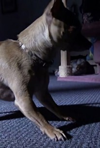 Too Cute!: Season 5, Episode 2 | Rotten Tomatoes