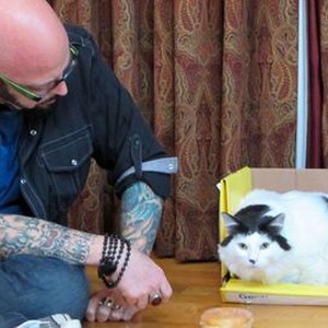 My Cat From Hell - Rotten Tomatoes