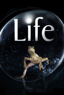 Life: Season 1 | Rotten Tomatoes