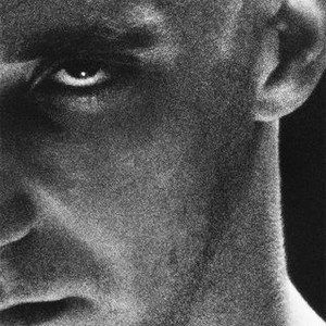 Pi - Rotten Tomatoes