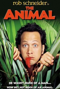 The Animal | Rotten Tomatoes