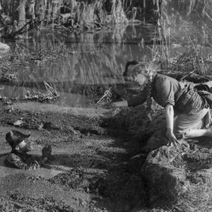 Spec O'Donnell - Rotten Tomatoes