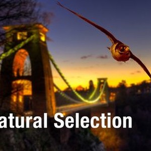 Unnatural Selection - Rotten Tomatoes