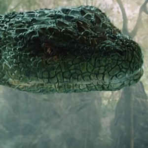 Snakes - Rotten Tomatoes