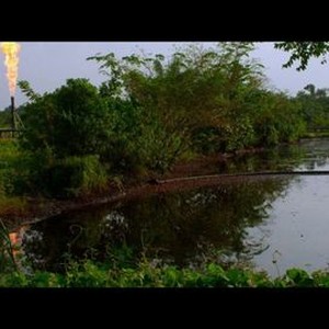 Time to Choose - Rotten Tomatoes