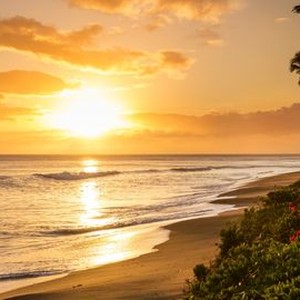 Hawaii Life - Rotten Tomatoes