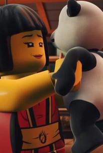 Ninjago: Wu's Teas Shorts: Season 1, Episode 8 | Rotten Tomatoes