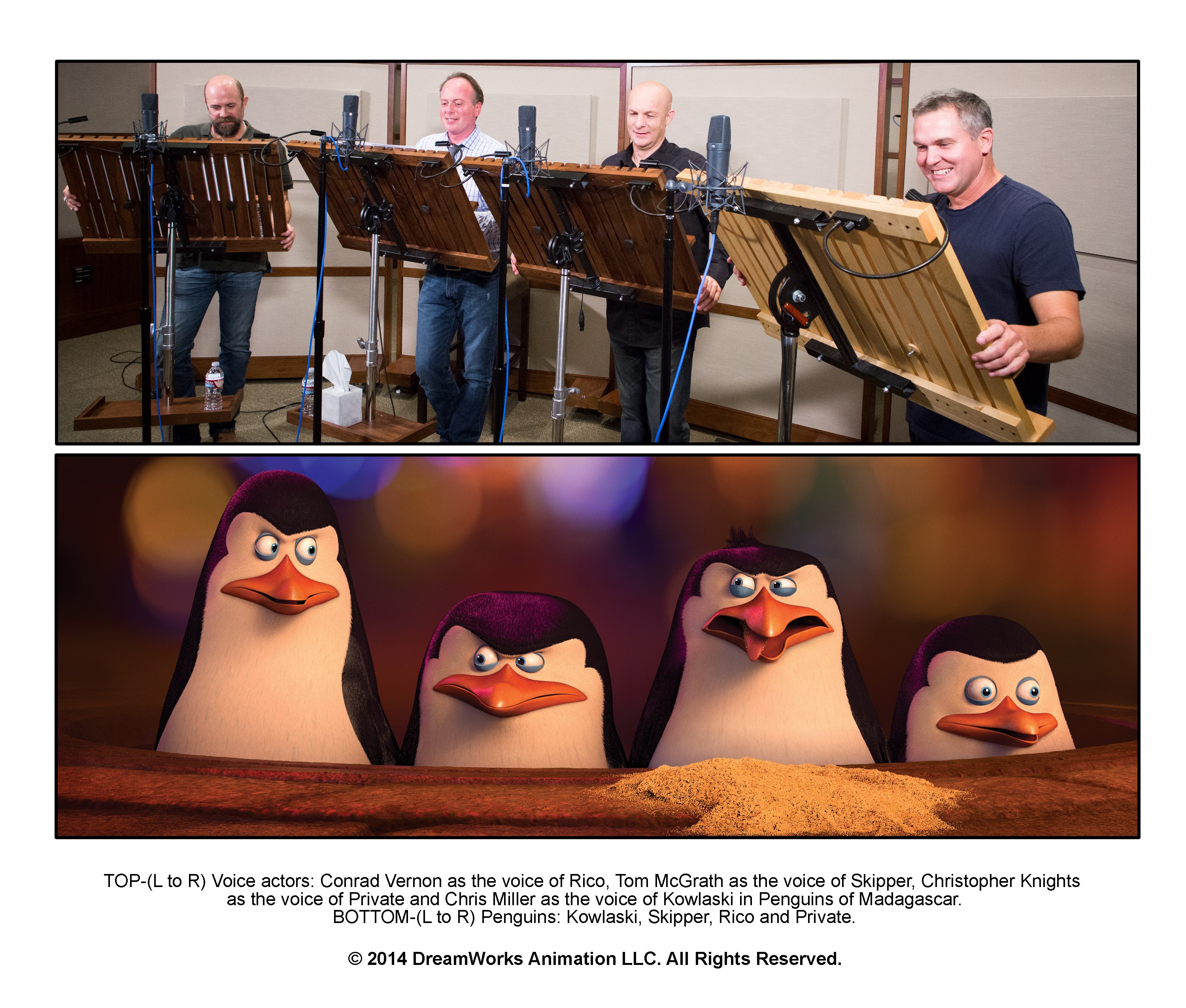 Penguins Of Madagascar Private Cute