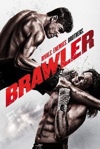 Brawler | Rotten Tomatoes