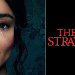 The Strays - Rotten Tomatoes