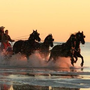 The Caravan Film - Rotten Tomatoes