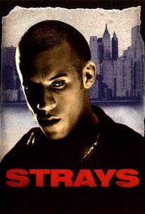 Strays (1997) | Rotten Tomatoes