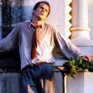 D.O.A. - Rotten Tomatoes