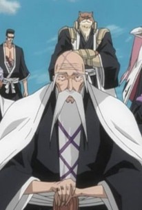 Bleach: Season 10, Episode 14 | Rotten Tomatoes