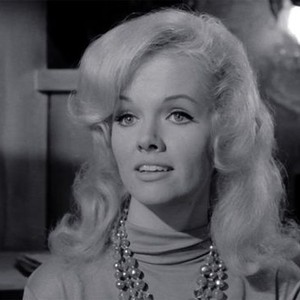 Perry Mason: Season 7, Episode 11 - Rotten Tomatoes