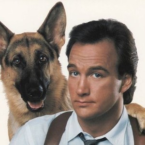 K-9 - Rotten Tomatoes