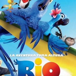 Río - Rotten Tomatoes