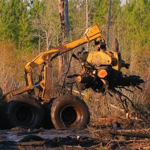 Swamp Loggers: Season 1, Episode 10 - Rotten Tomatoes