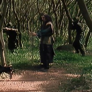 Ninja Death - Rotten Tomatoes