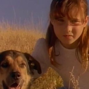 Little Heroes - Rotten Tomatoes