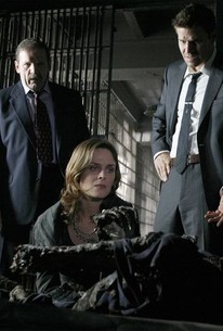 Bones: Season 2, Episode 12 | Rotten Tomatoes