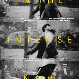 In the Intense Now - Rotten Tomatoes