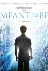 Meant to Be | Rotten Tomatoes