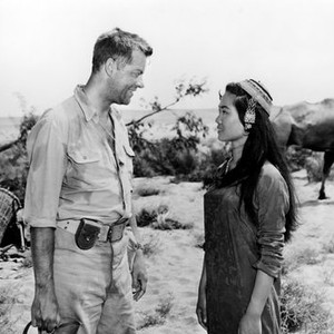 Destination Gobi - Rotten Tomatoes
