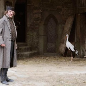 Johannes Zeiler - Rotten Tomatoes