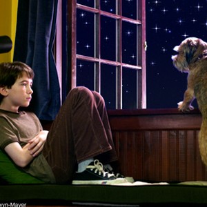 Good Boy! (2003) - Rotten Tomatoes