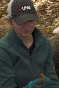 The Curse of Oak Island: Digging Deeper: Season 10, Episode 12 | Rotten ...