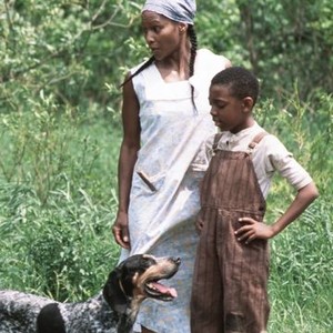 Sounder - Rotten Tomatoes