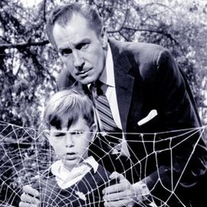 The Fly - Rotten Tomatoes