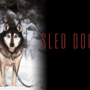 Sled Dogs - Rotten Tomatoes
