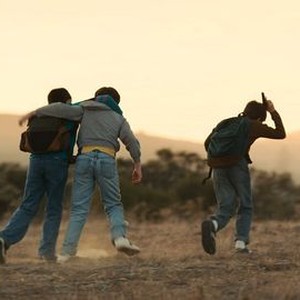 Everett Meckler - Rotten Tomatoes