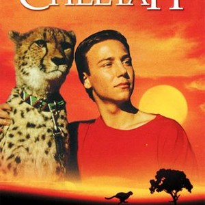 Cheetah - Rotten Tomatoes