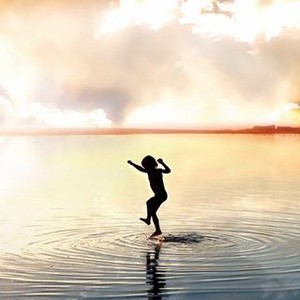 The Human Experience - Rotten Tomatoes