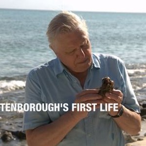 David Attenborough's First Life - Rotten Tomatoes