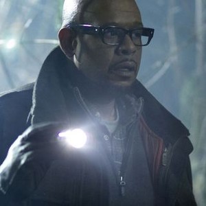 The Marsh - Rotten Tomatoes