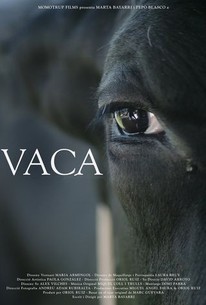 Vaca | Rotten Tomatoes