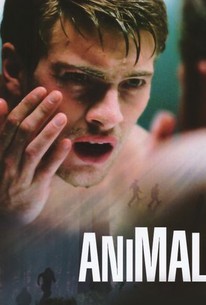 Animal (2005) | Rotten Tomatoes