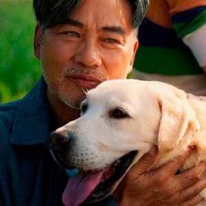 Little Q - Rotten Tomatoes