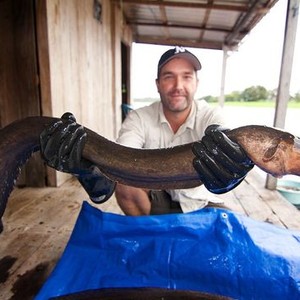 Zeb Hogan - Rotten Tomatoes