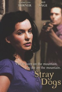 Stray Dogs | Rotten Tomatoes